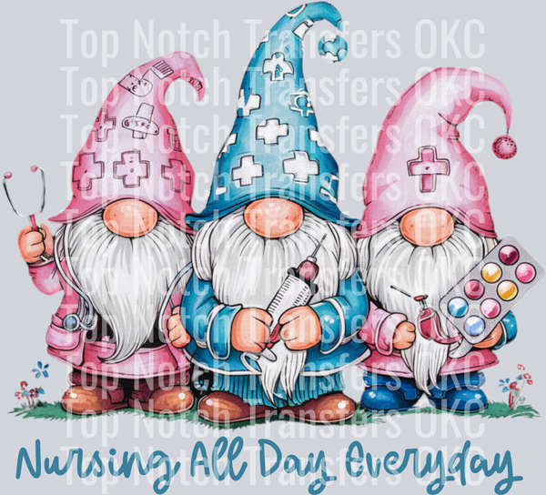 Gnome Nurse – Top Notch Transfers OKC